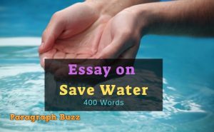 Essay on Save Water in 200, 300, 400, 500 and 600 Words for All Classes
